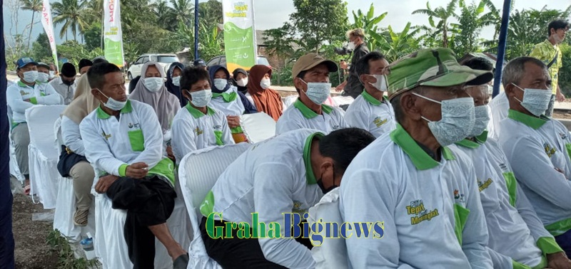 Keunggulan Pupuk Organik Cair Phonska Oca Bersama Team Pupuk Indonesia ...
